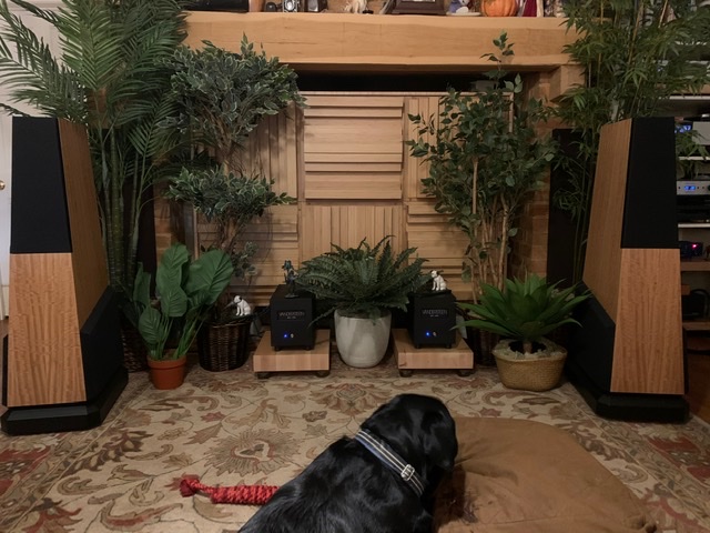 Vandersteen Audio High End Speakers | Vandersteen Audio